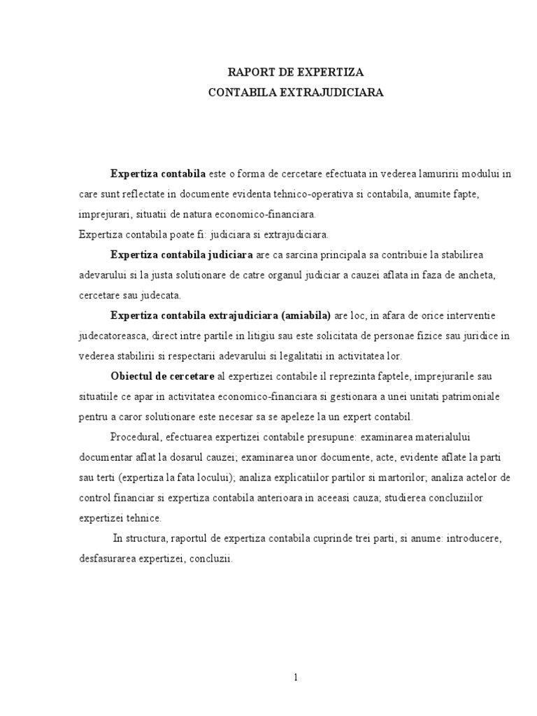 Raport Expertiza Contabila | PDF