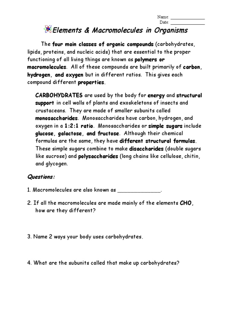 Macromolecules Extension Activity | PDF | Macromolecules | Carbohydrates