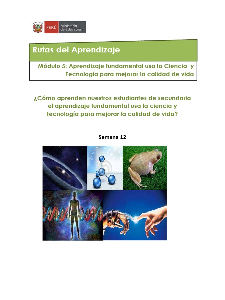 Aprendizaje de Ciencia y Tecnología en Secundaria | PDF | Educación ...