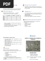 DELTISONA B 4 40mg Prospecto Paciente | PDF | Alergia | Asma