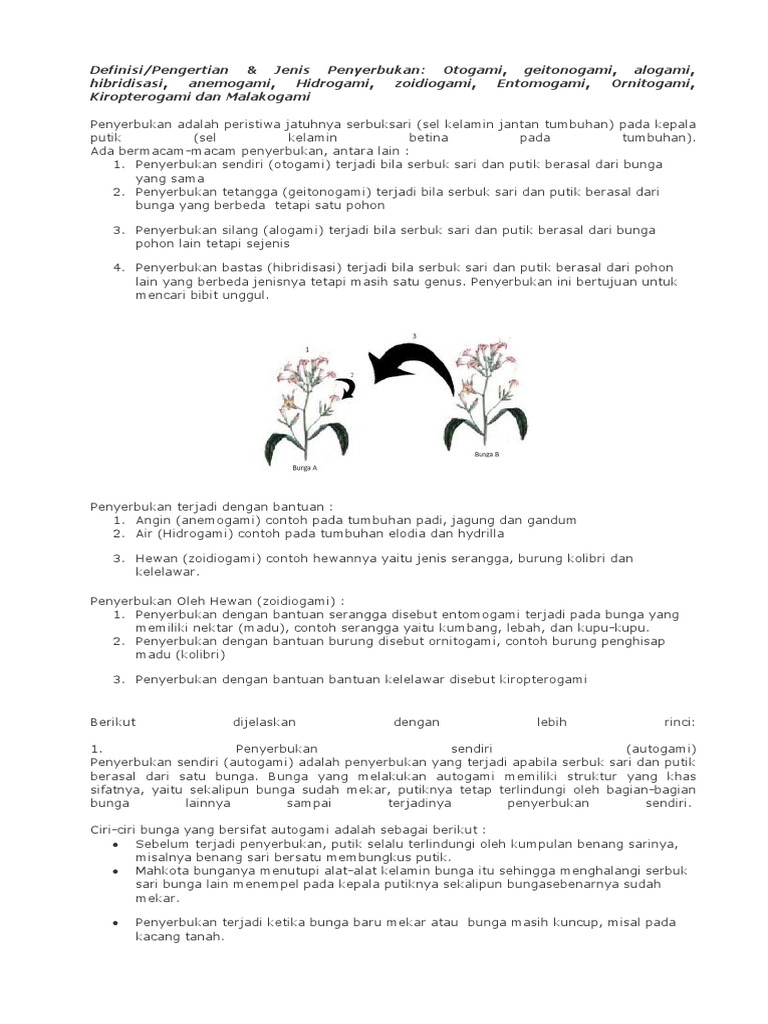 33+ Contoh Penyerbukan Bastar Pada Bunga yang Wajib Diketahui ...