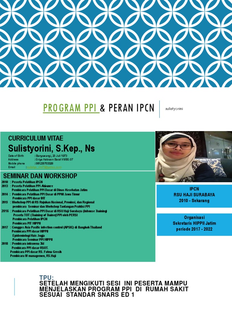 Program Ppi Share | PDF