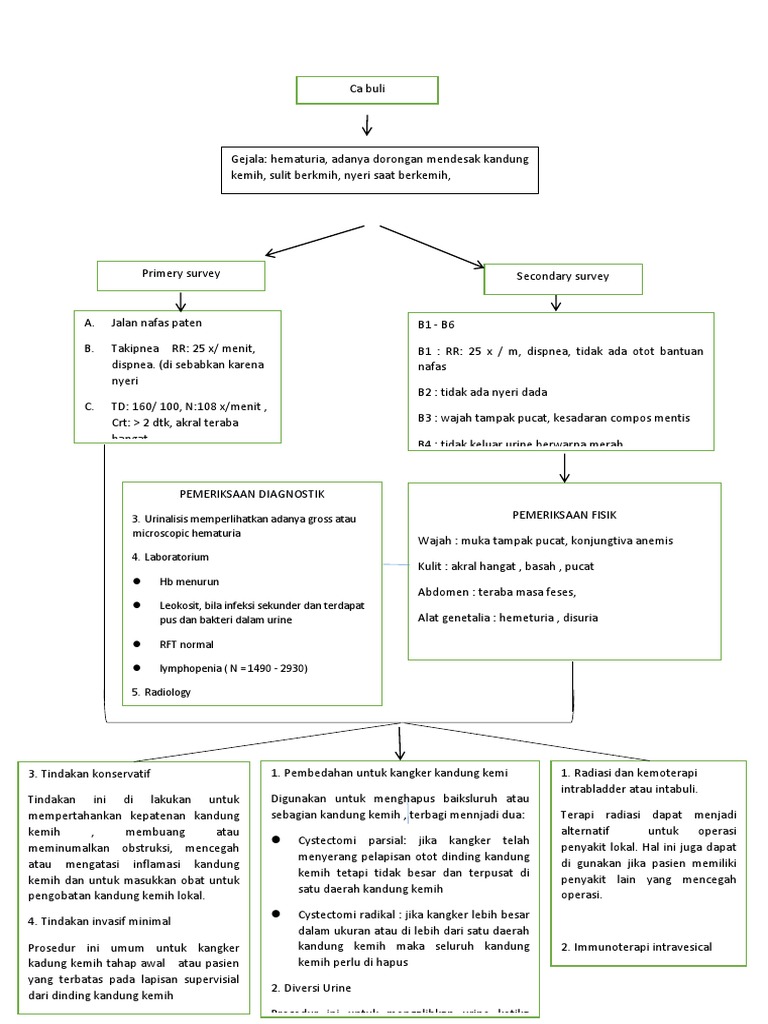 Algoritma Ca Buli Urologi | PDF