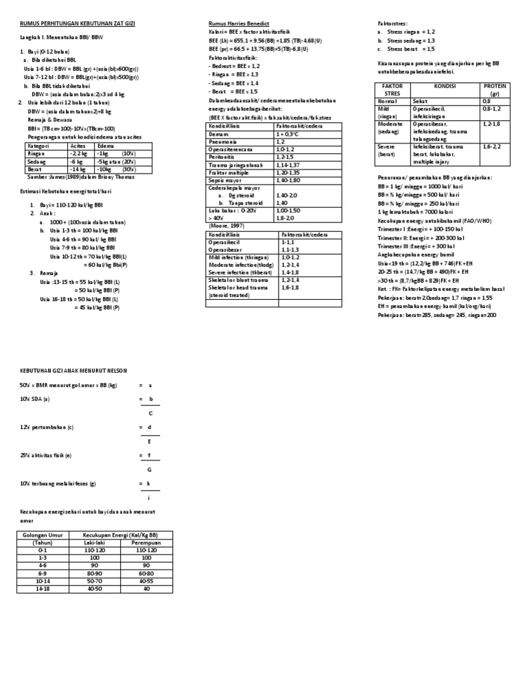 Rumus Perhitungan Kebutuhan Zat Gizi | PDF