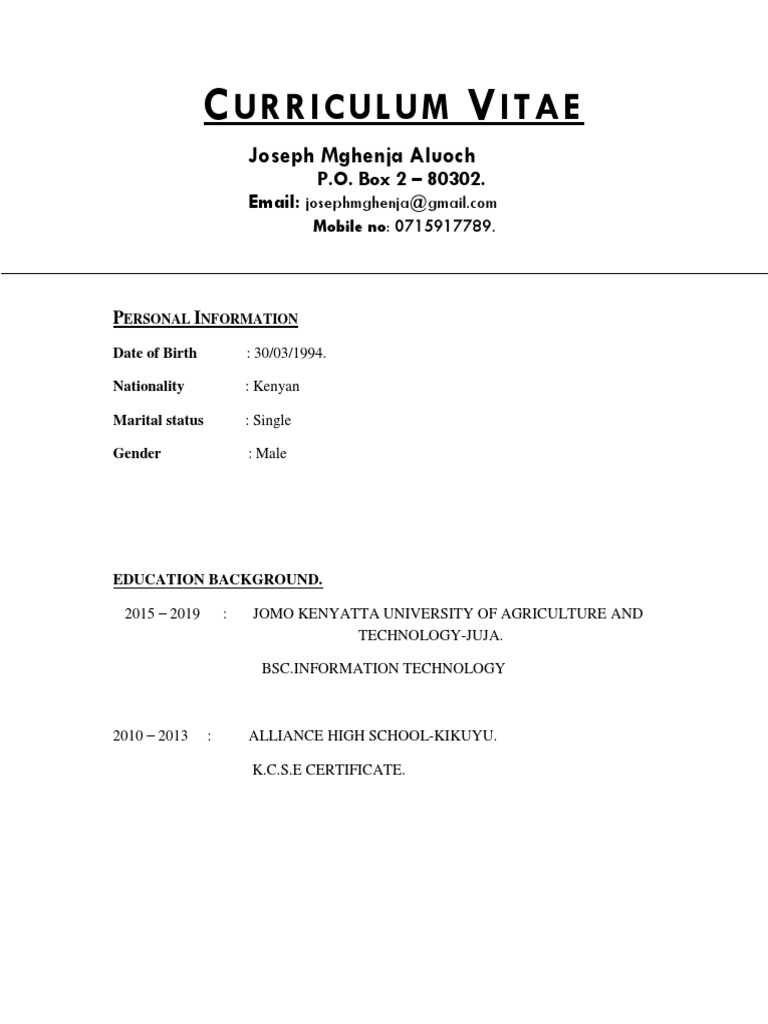 CV Mghenja | PDF | Information Technology | Computing