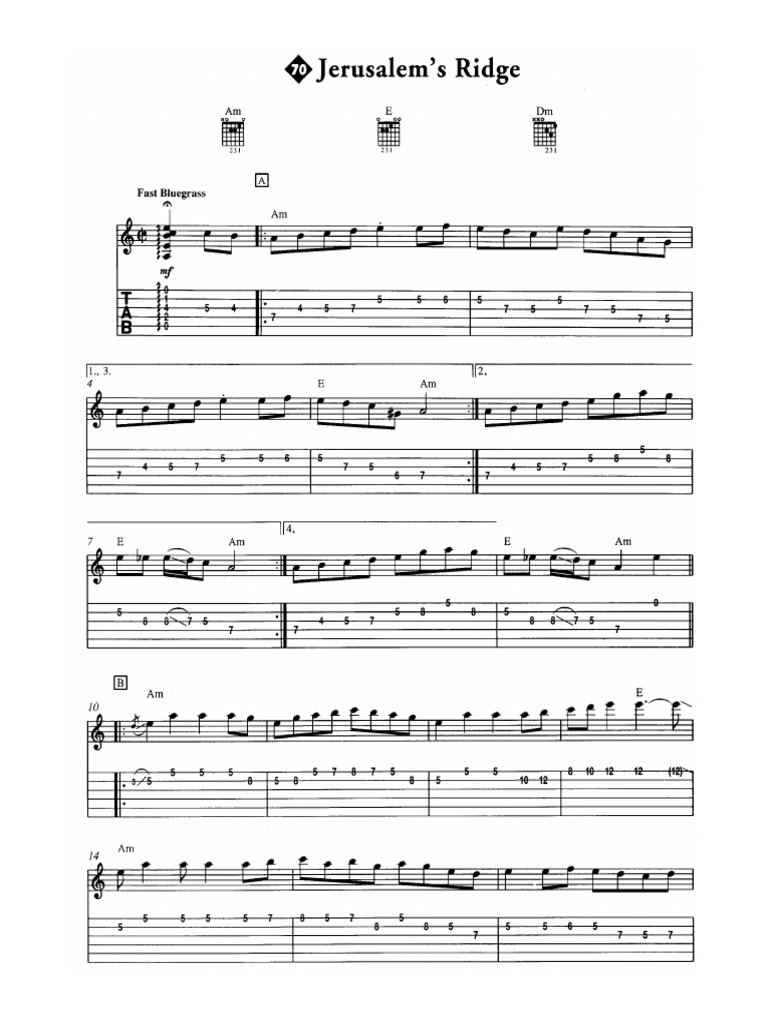 Tony Rice Guitar | PDF