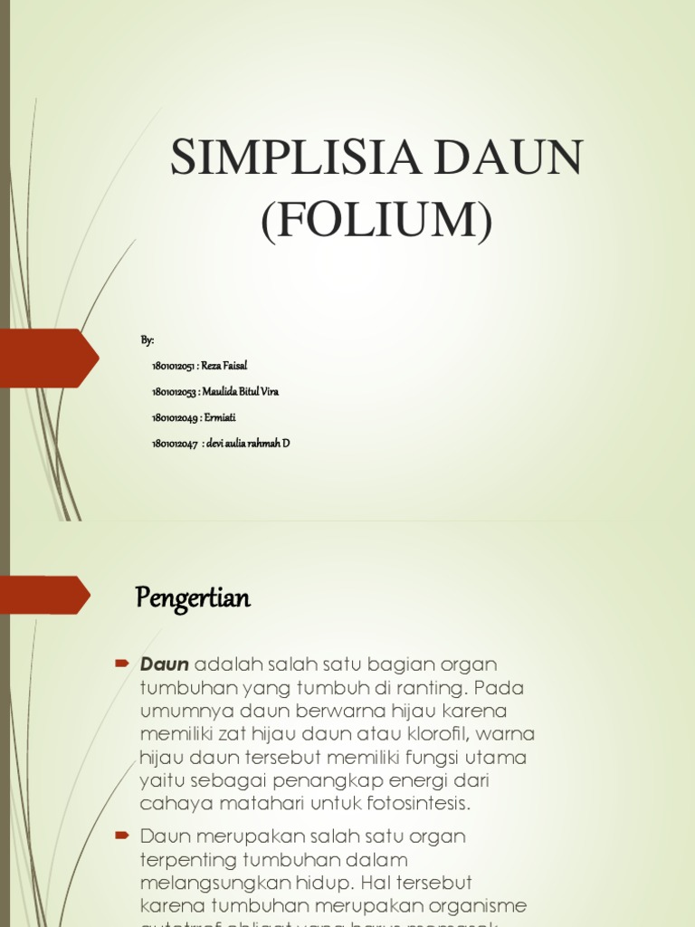 Simplisia Daun (Folium) | PDF