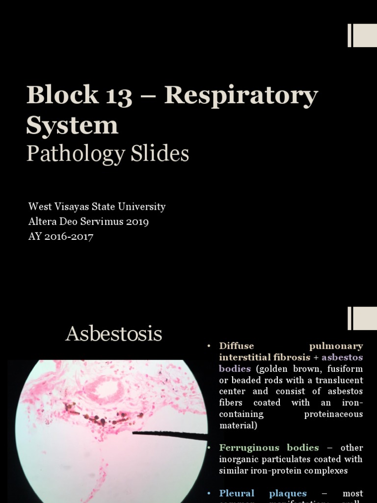 Block 13 Patho Slides | PDF