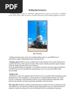 Petroleum Systems of Berkine Basin | PDF | Petroleum Geology | Petroleum