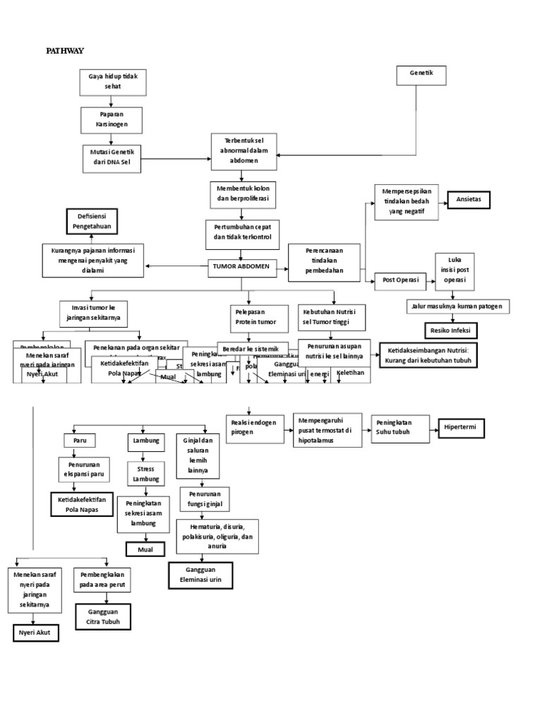 Pathway Tumor Abdomen | PDF