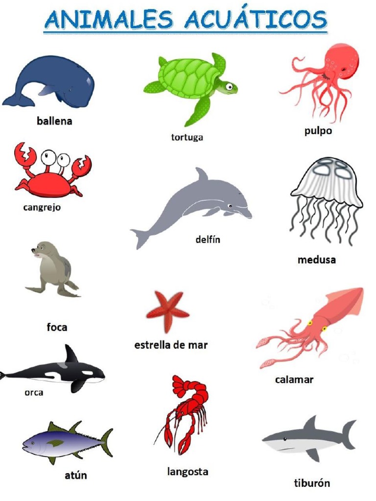 Animales Acuaticos Pdf