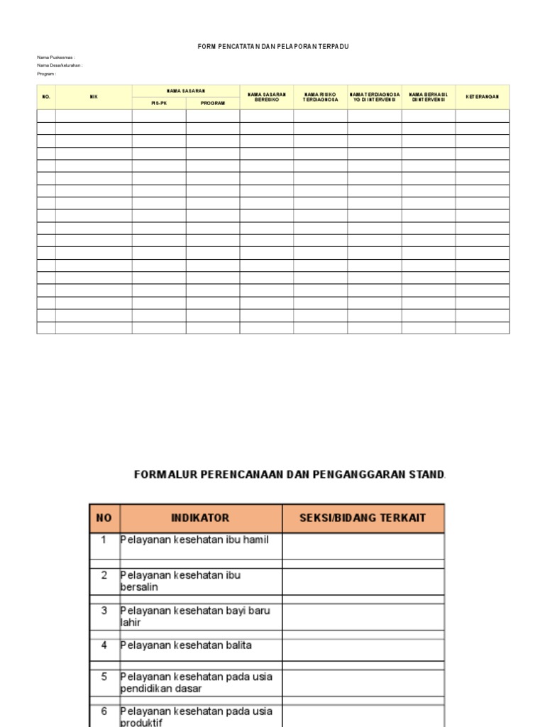 FORM Pencatatan Dan Pelaporan Terpadu (Pispk - Program) | PDF