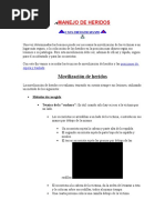 Técnicas de Arrastre en Emergencias | PDF | Rodilla | Pie