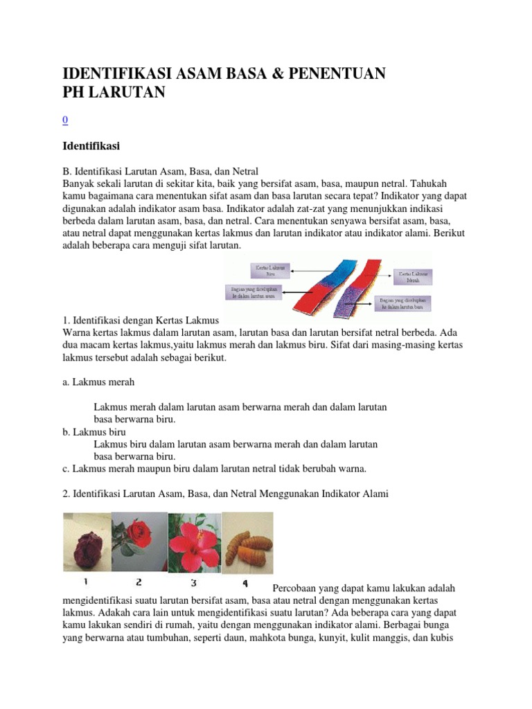 Identifikasi Sifat Larutan Asam Basa | PDF | Memasak, Makanan, & Anggur ...