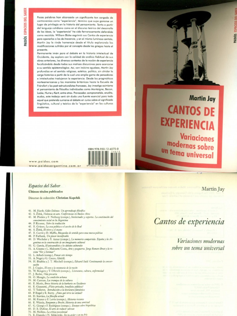 Martin JAY PDF | PDF