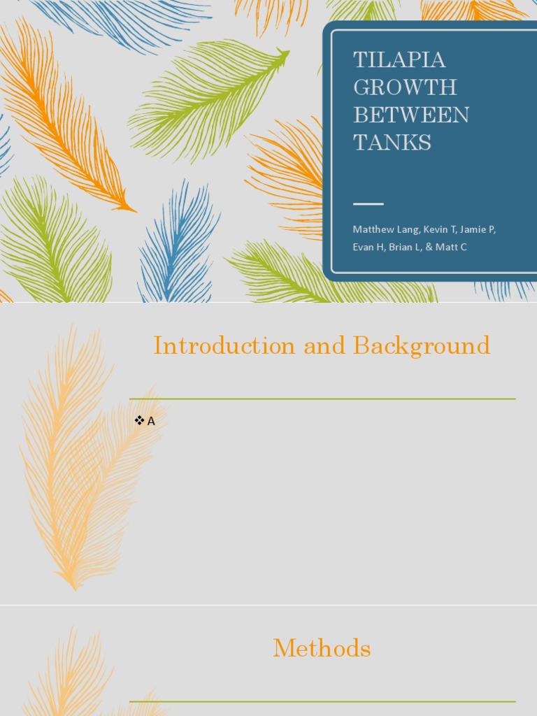 Final Powerpoint | PDF | Fish | Fish And Humans