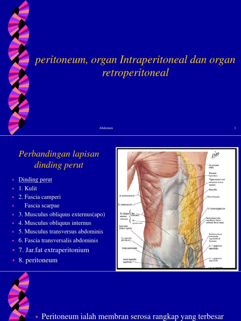 Peritoneum, Organ Intraperitoneal Dan Organ Retroperitoneal Eja