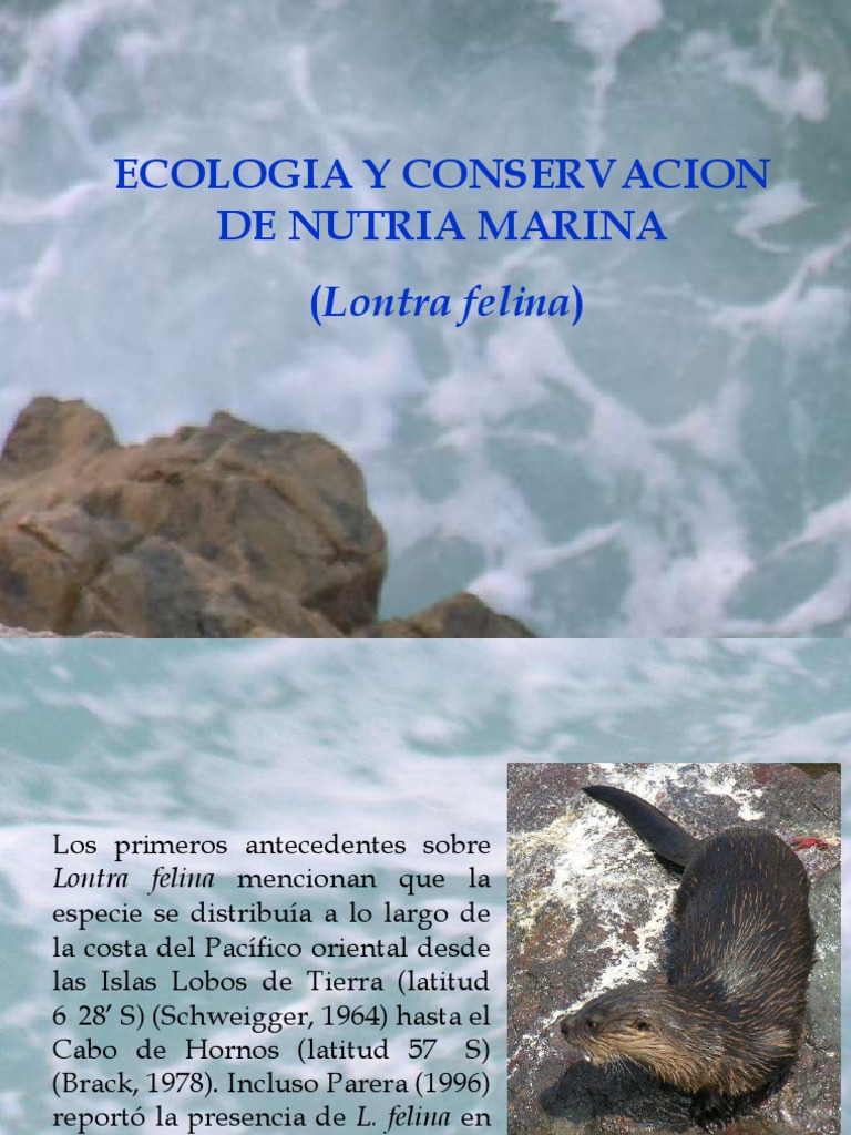 Presentación NUTRIA | PDF | Buceo bajo el agua | Zona litoral