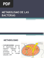 Citrobacter freundii: Características y Aislamiento | PDF | Las ...