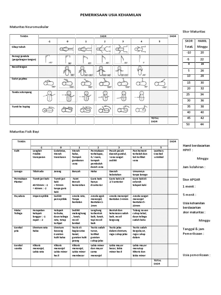 New Ballard Skor | PDF