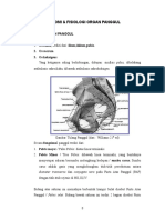 Anatomi Dan Fisiologi Dasar Panggul Wanita | PDF