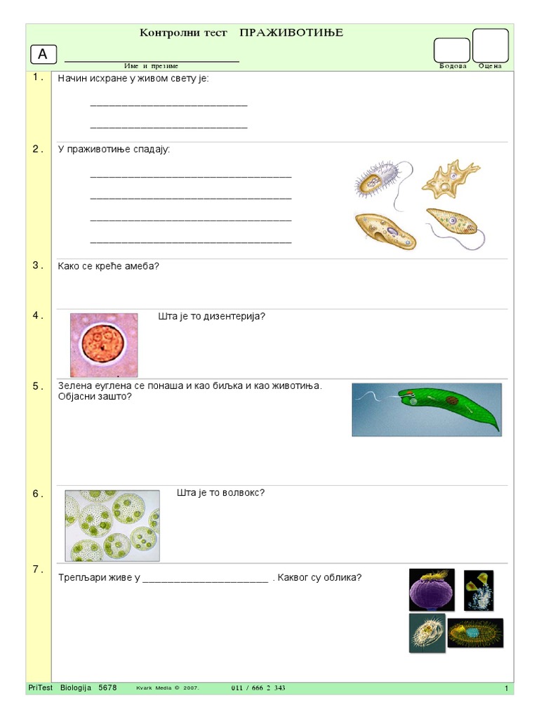 6 - 1 A Prazivotinje PDF | PDF