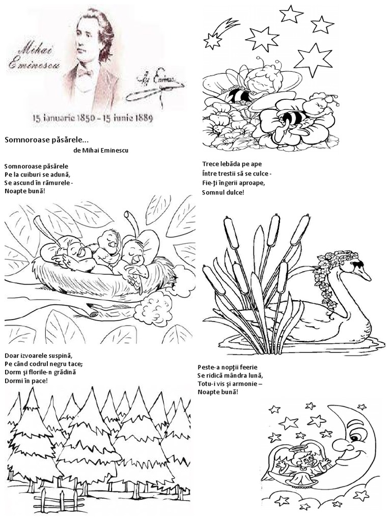 6 Somnoroase Pasarele | PDF