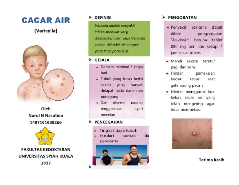 Leaflet CACAR AIR Boru | PDF