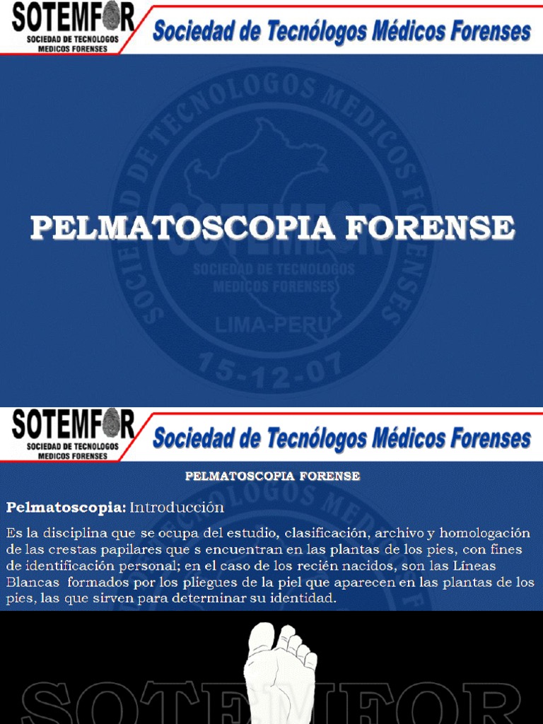 Clase 11 Pelmatoscopia Forense | PDF
