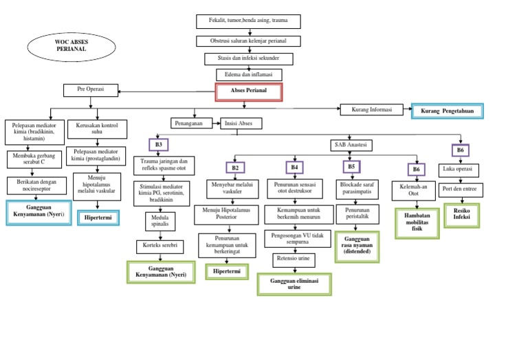 Pathway Abses Perianal | PDF