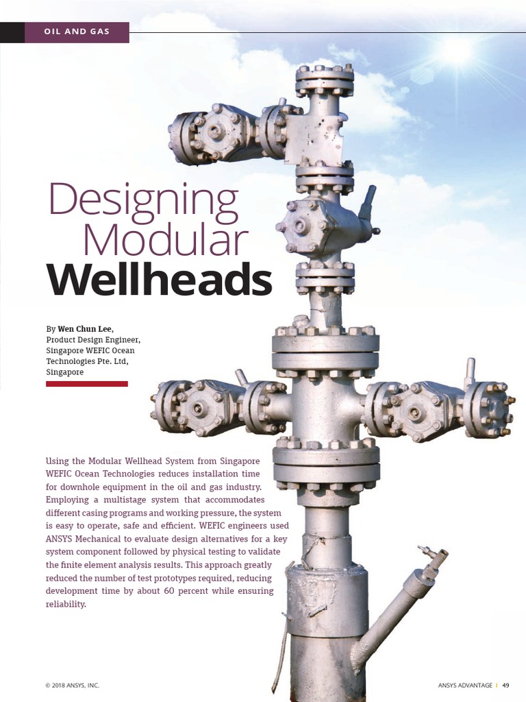 Wellhead | PDF | Casing (Borehole) | Pipe (Fluid Conveyance)