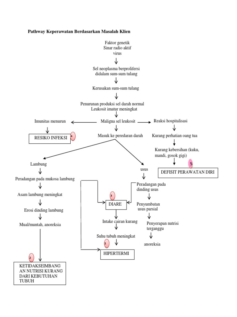 Pathway Keperawatan untuk Leukemia | PDF
