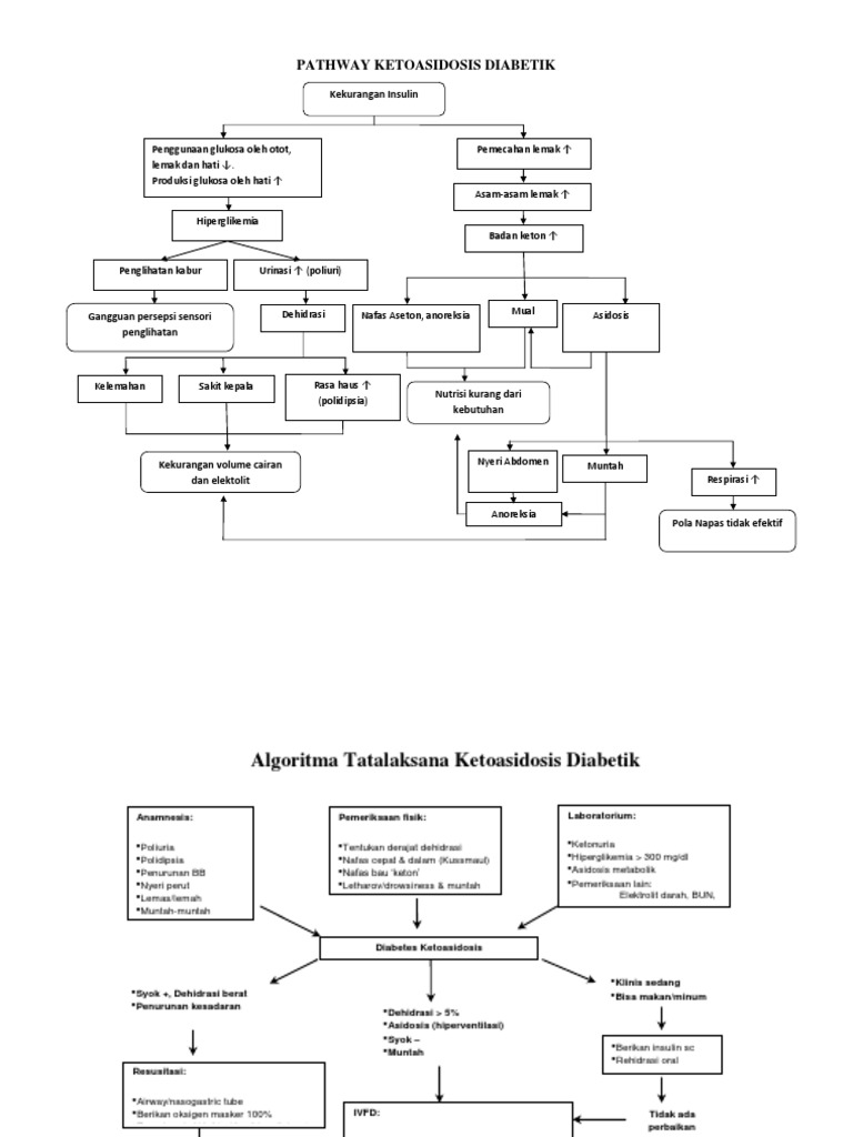 Pathway Dan Algoritma Kad | PDF