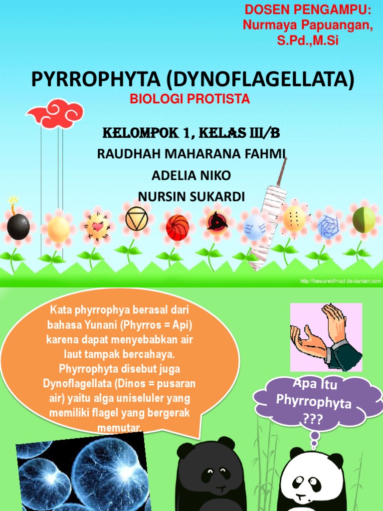 Pyrrophyta (Dynoflagellata) | PDF