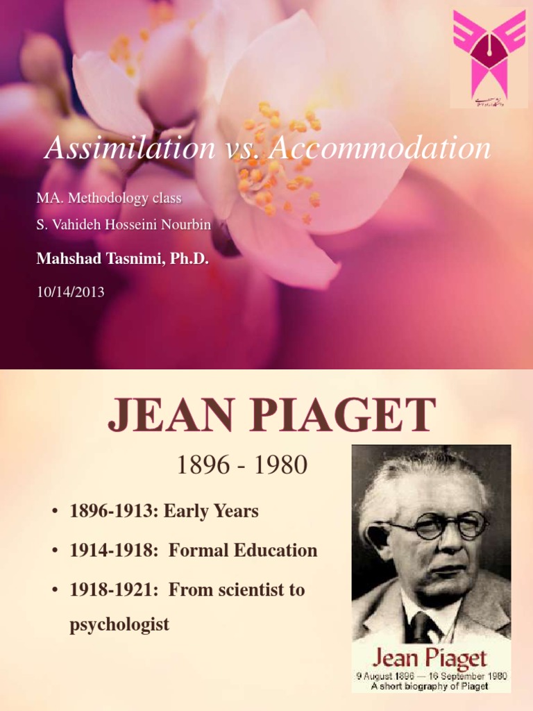 Assimilation | PDF | Schema (Psychology) | Cognitive Development