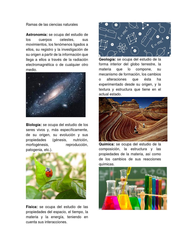 Ramas de Las Ciencias Naturales | PDF | Paleontología | Biología