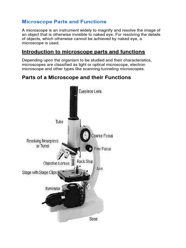 Microscope Parts and Functions | PDF | Lens (Optics) | Laboratory Equipment