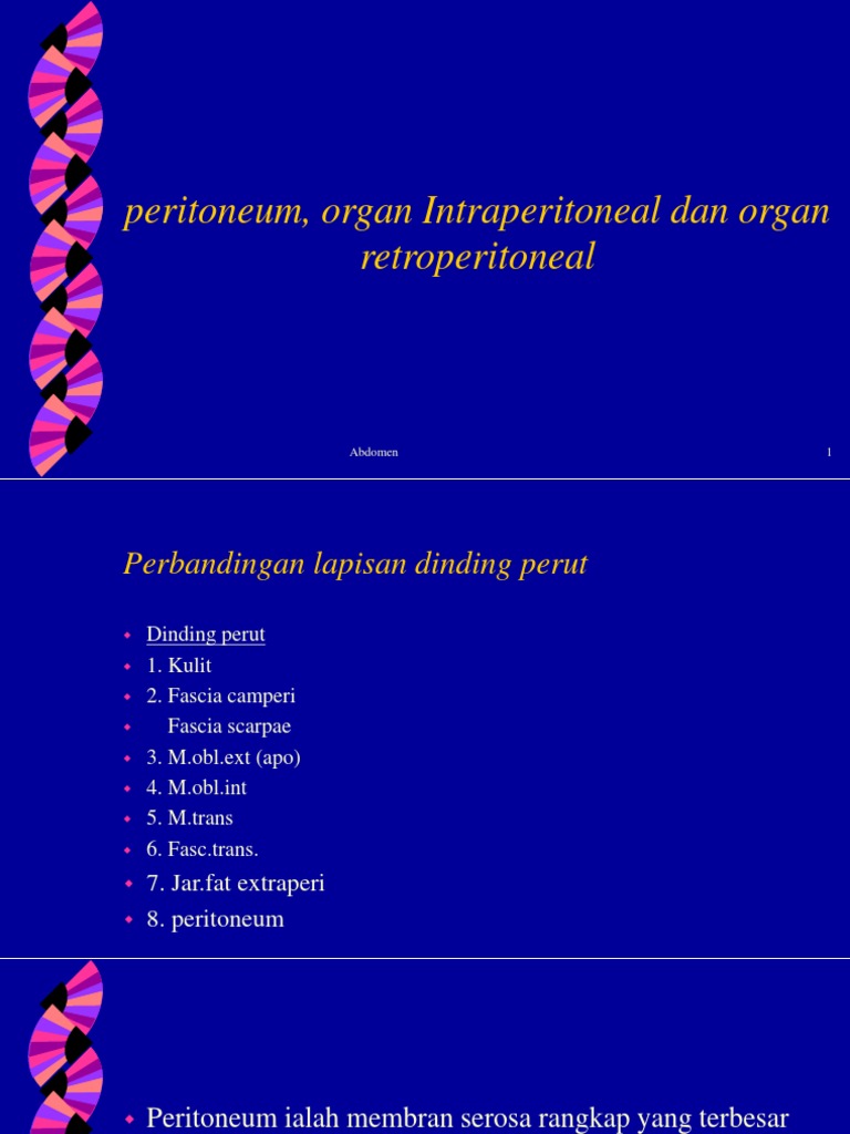 Peritoneum, Organ Intraperitoneal Dan Organ Retroperitoneal | PDF