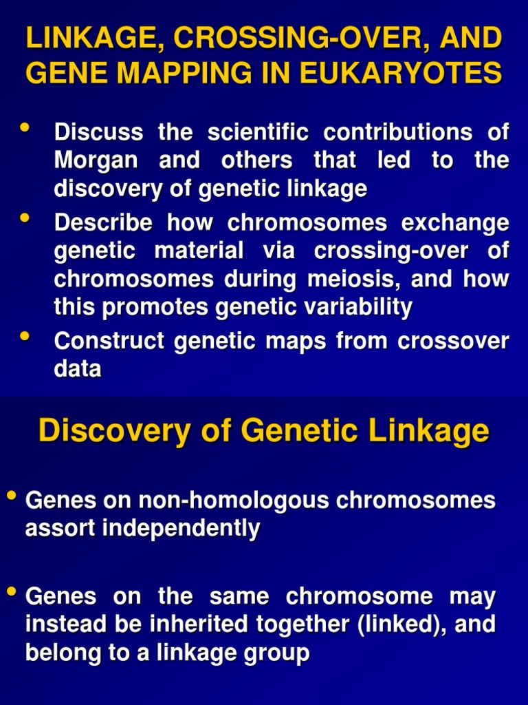 12-Linkage Crossing-Over and Gene Mapping in Eukaryotes | PDF | Genetic ...