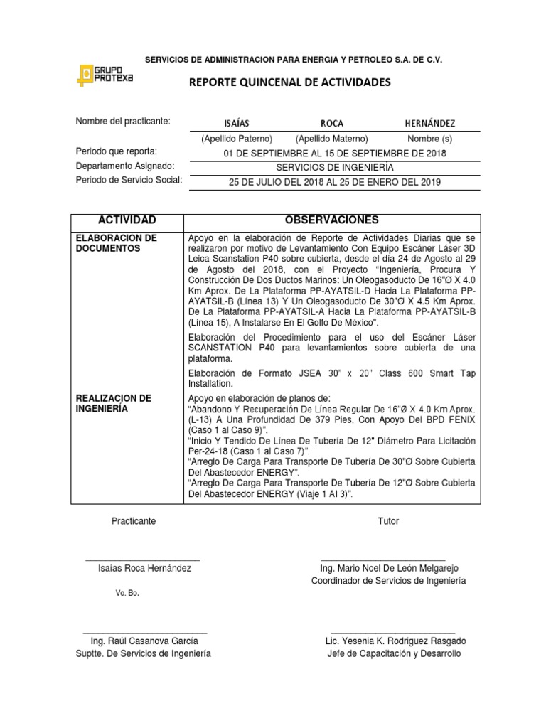 Formato Reporte de Actividades | PDF