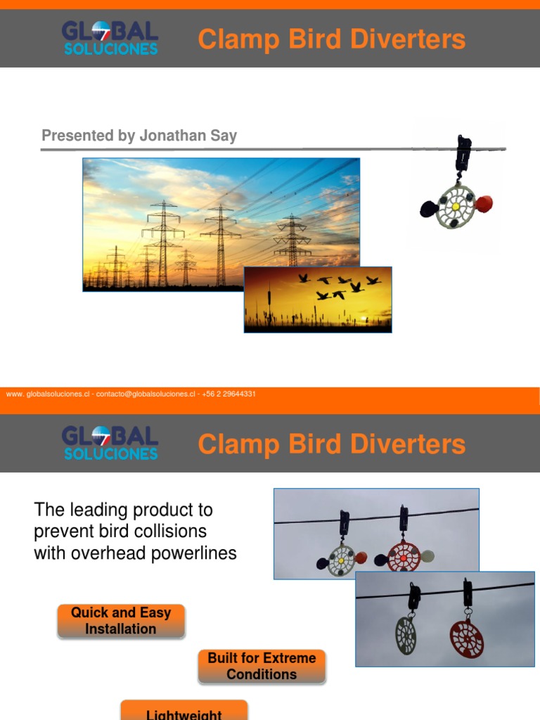 Bird Diverter Presentation | PDF | Birds | Building Materials