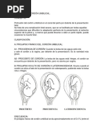 Cuidados de Enfermeria en La Mujer Con Transtornos Hemorrágicos Del ...