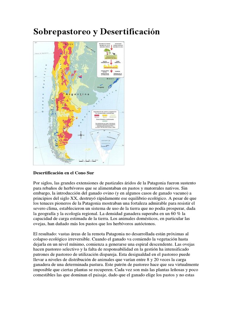 Sobrepastoreo y Desertificación en Patagonia | PDF | Oveja | Mauricio Macri