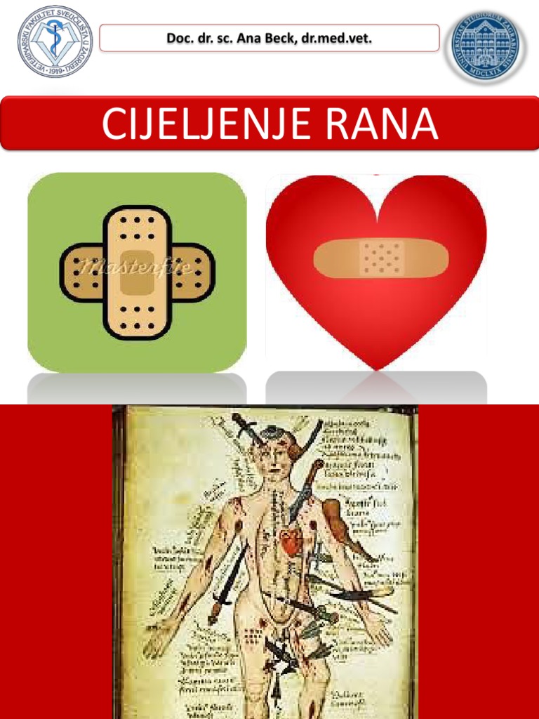 Cijeljenje Rana 15 PDF | PDF