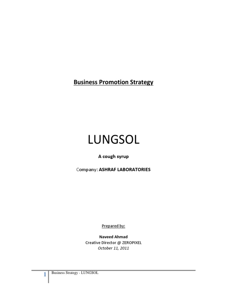 Syrup Promotion Busines Plan | PDF | Strategic Management | Advertising