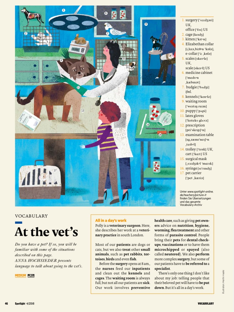 At The Vet's - English Vocab | PDF | Veterinary Physician | Neutering