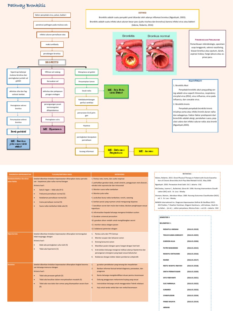 (Fix) Pathway Bronkitis PDF | PDF