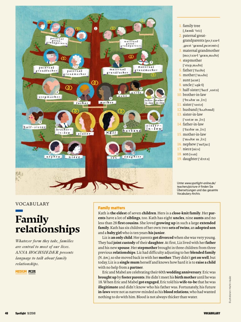 Family Relationships - English Vocab | PDF | Stepfamily | Family
