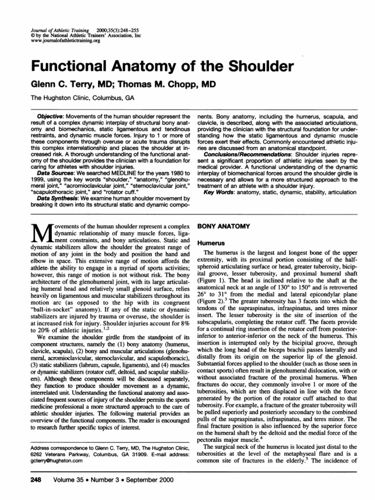 Functional Anatomy Shoulder | Download Free PDF | Shoulder | Soft Tissue