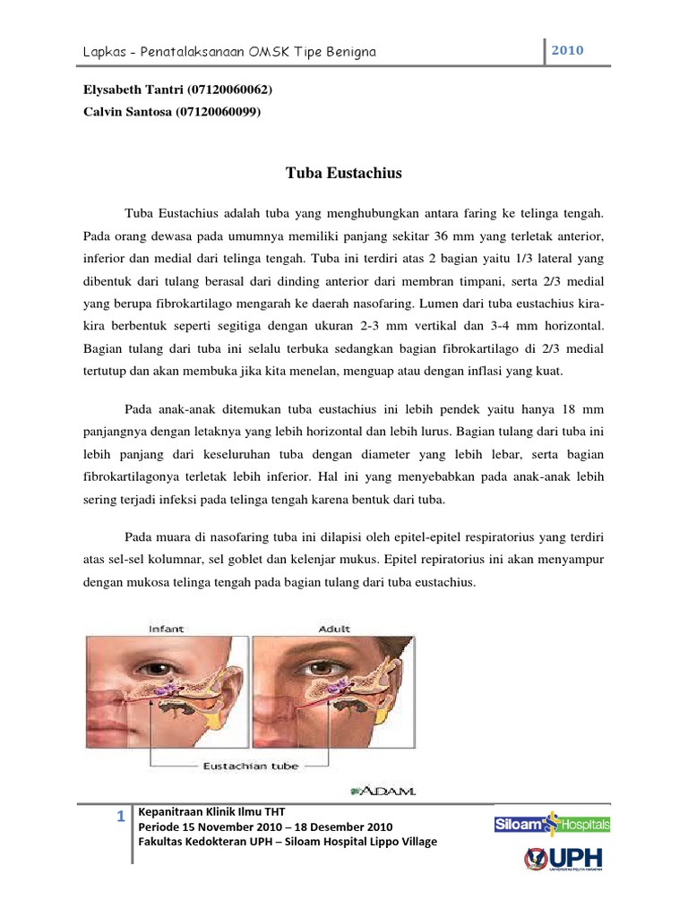 Patofisiologi OMSK | PDF